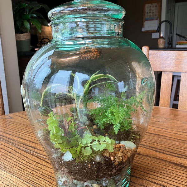 Terrarium Kits for Kids, DIY Terrarium Kit, Woodland Party Favors, DIY ...