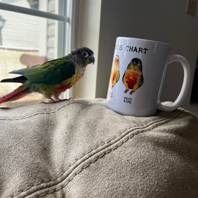 Conure Ripeness Chart Mug - Etsy