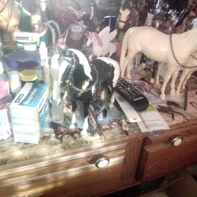 Breyer 1856 Collector Club Appreciation Glossy Morganquest Native Sun ...