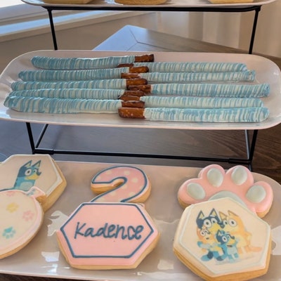 Bluey Inspired Cake Pops - Etsy