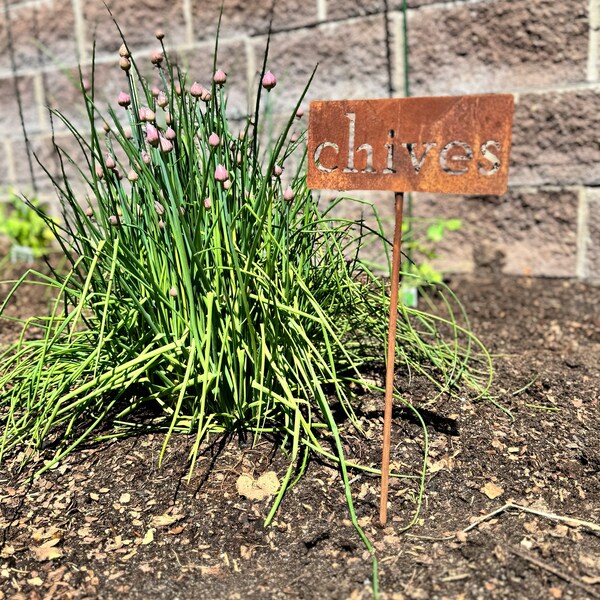 Rusted Steel Classic Garden Markers: Rustic Plant Labels, Bulk Set - Etsy