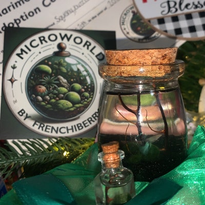 Luminous Terrarium Decor Bonsai Alien Fairy Garden Miniature Micro ...