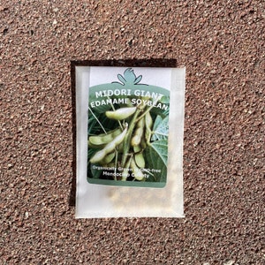 Organic Otto File Polenta Corn - Etsy