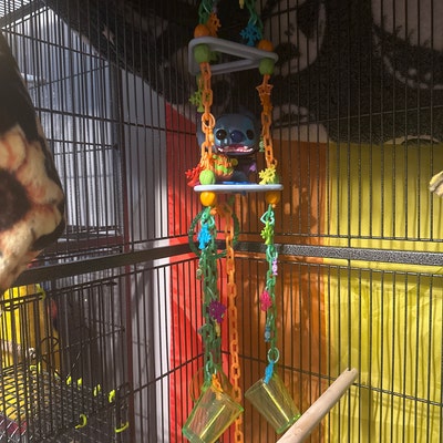 Sugar Glider Small Animal Foraging Pulley Toy-one per Price Alien Toy ...