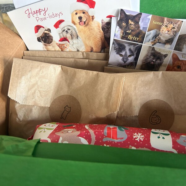 Toe Beans, Sock Club, 85/15 Superwash Merino/nylon Blend, 480 Meters ...