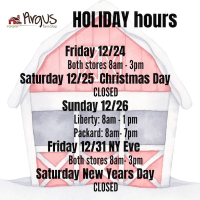 Watercolor Christmas Santa's House Clipart Graphics, Santa Claus Clip ...