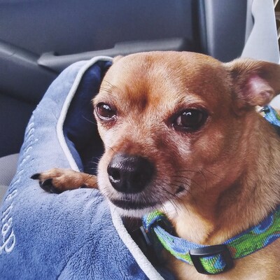 3 Yards Hug Snug Seam Binding Beautiful Colors - Etsy