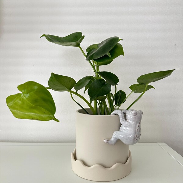 Elephant Pot Hugger for Succulent Planter Gardening Gifts Outdoor Decor ...