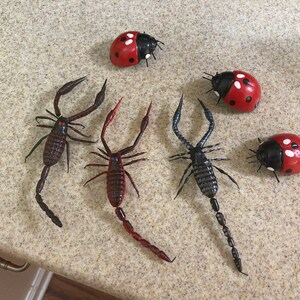 Ladybug, Bug Magnet, Small Size Handmade Clay Magnet Insect Figurine ...