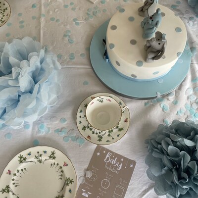 Blue Party Decorations Set Paper Flowers Tissue Pom Pom Boys Birthday ...