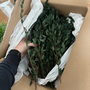 Burnt Orange Oats / Dried Avena Oats / Dried Flowers Bulk / | Etsy