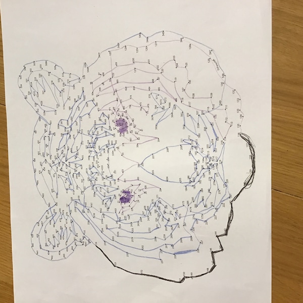 Tiger - Extreme Dot to Dot - PDF Activity and Coloring Page - Etsy