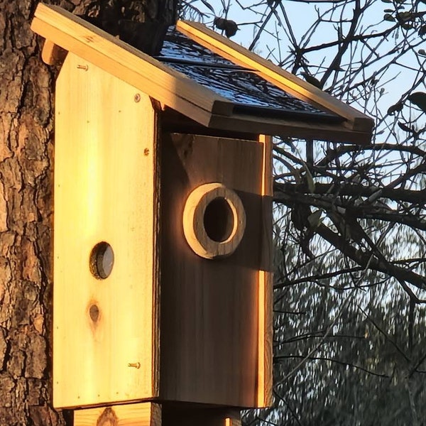 Barred Owl Nesting Box With Solar Powered PIR Wifi Camera; Opossum ...