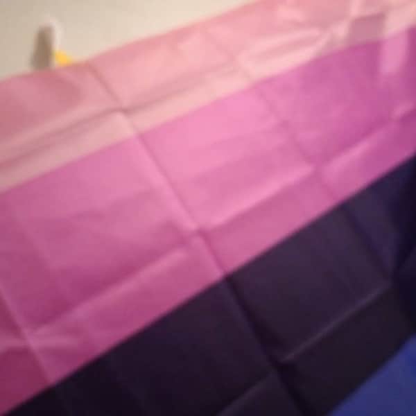 DIGITAL FILE: Printable Extended Pride Flag Reference Guide Includes ...