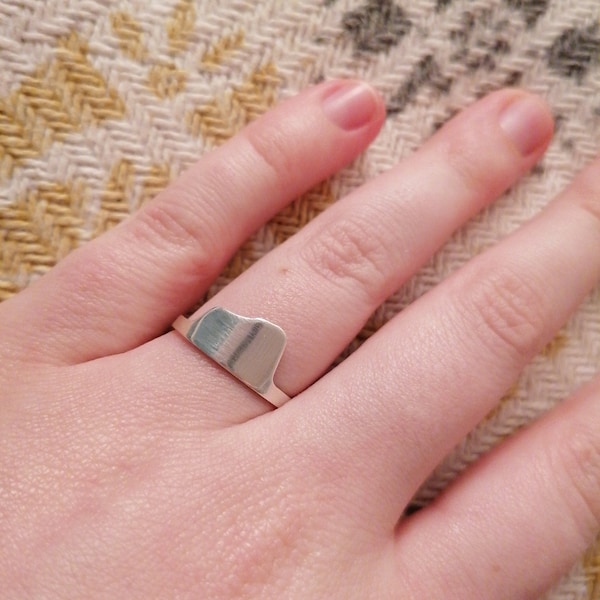 The Little Prince Silver Ring, Hidden Elephant Ring, A Hat or a Boa ...