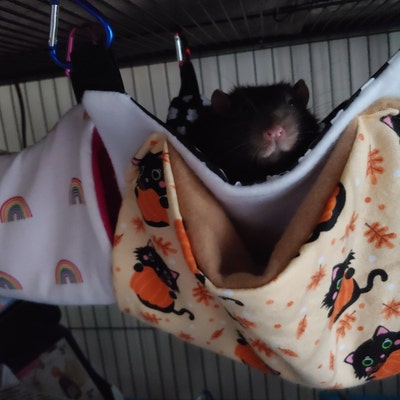 Mismatched Rat Cube Hammock UGLY DUCKLING Random rat Bed - Etsy