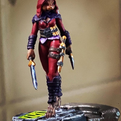 Tanuki Red Panda Yokai Lodge Dragon Trapper's Lodge - Etsy