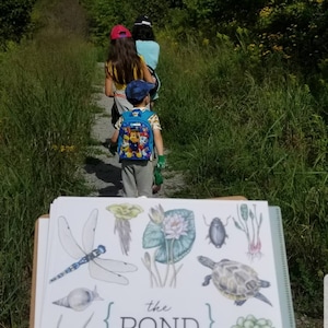 The POND Homeschool Printable Nature Study Charlotte Mason Frog Turtle ...