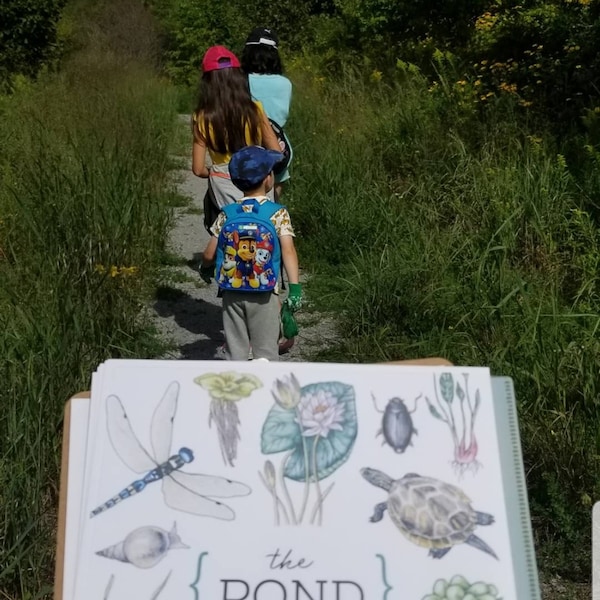 The POND - Homeschool Printable Nature Study Charlotte Mason Frog ...