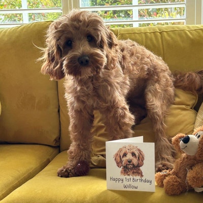 Cute Cavapoo Birthday Card Cavapoo With a Remote Birthday Card Dog Dad ...