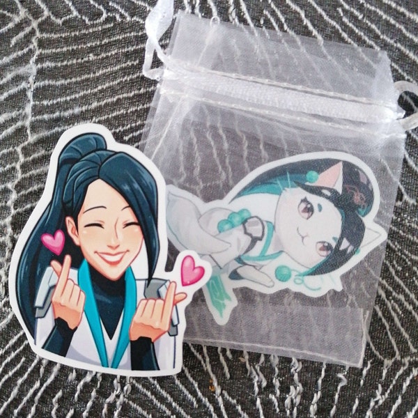 PACK SAGE Sticker VALORANT Meme - Etsy