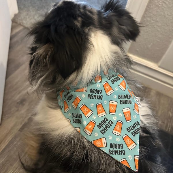 Be Good for Goodness Sake Dog Collar - Etsy