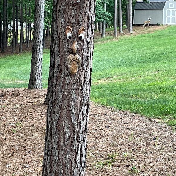 The ORIGINAL & GENUINE Mr. Grumpy Stump Tree Face Gift for Dad Fun ...