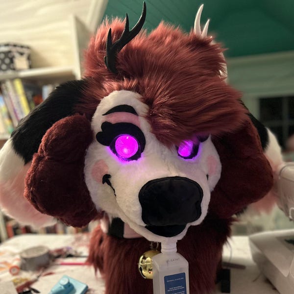 Custom Fursuit 3D Model - Etsy