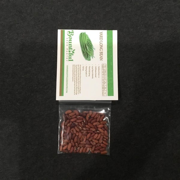 Green Variegated Marrow Squash, Green Lebanese Squash, Summer & Winter ...