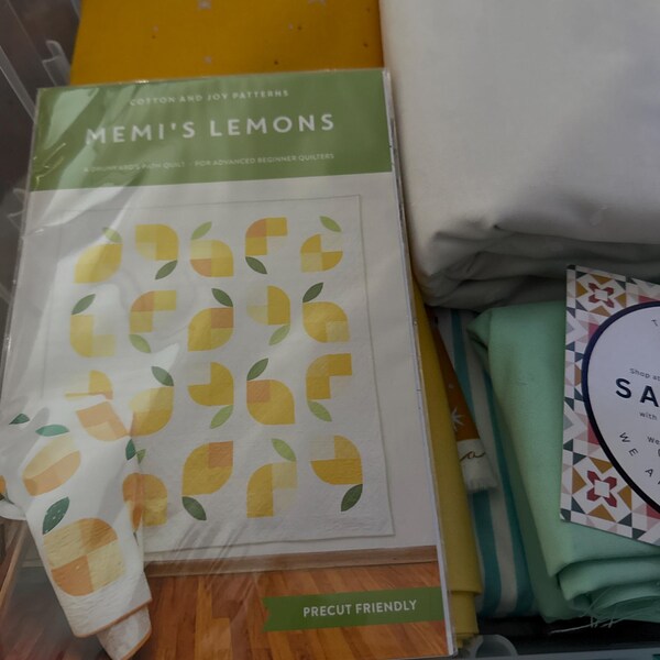 Duck Duck Goose Mini Quilt Pattern From Meags and Me*duck, Duck, Goose ...