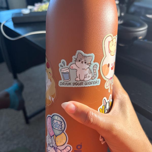 Taylor 13 Vinyl Sticker - Etsy