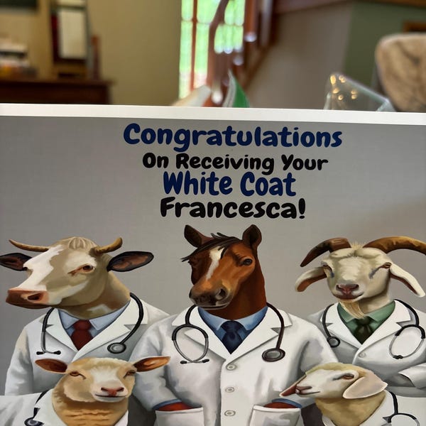 Siamese Pet Loss Sympathy Card - Sorry for Your Loss - Elegant Cat ...