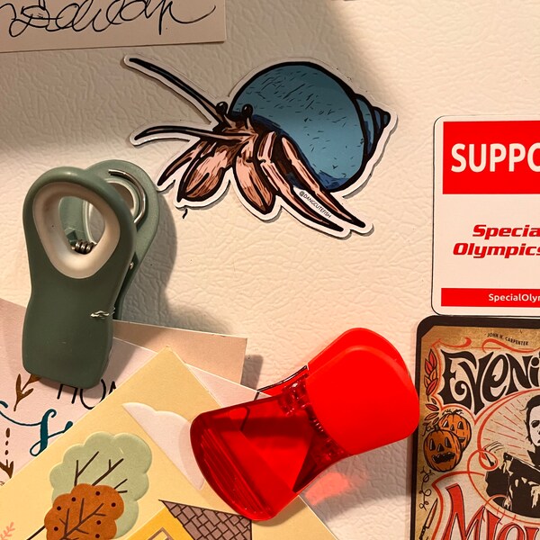 Magnet Set - 7 Cephalopods, Flamboyant Cuttlefish, Pajama Squid ...