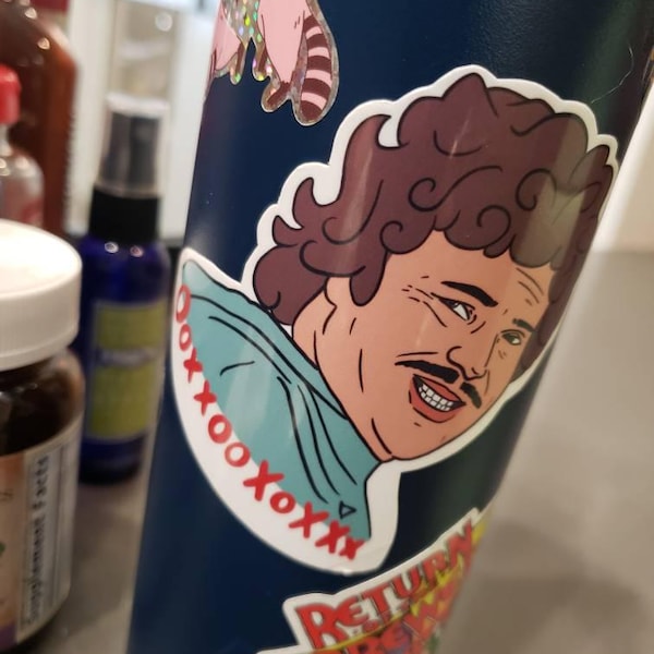 6 Pack Nacho Stickers, Funny Stickers, Mexican Luchador Sticker, Hydro ...