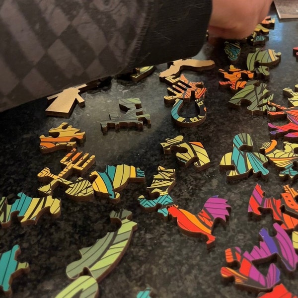 SET OF 11 Geek Toys IQ Puzzle Brain Fitness Games Brain Teaser Puzzles ...