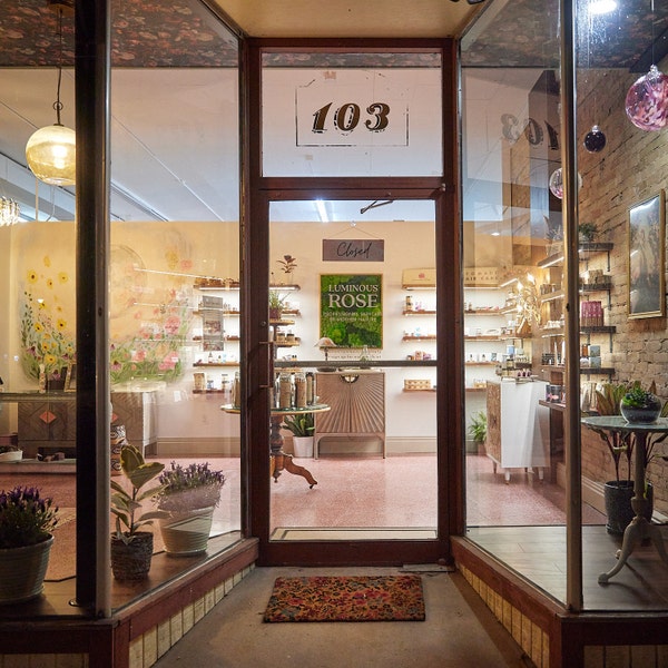 Moss Art, Real Preserved Moss Wall Art, Moss Home Decor, Real Moss ...