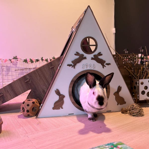 Modern Rabbit House, Wooden Rabbit Castle, Rabbit House, Rabbit Castle ...
