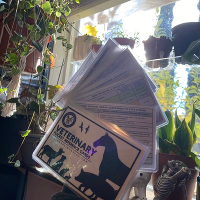 Anatomy Study Note Template for Veterinary Medical & Science - Etsy