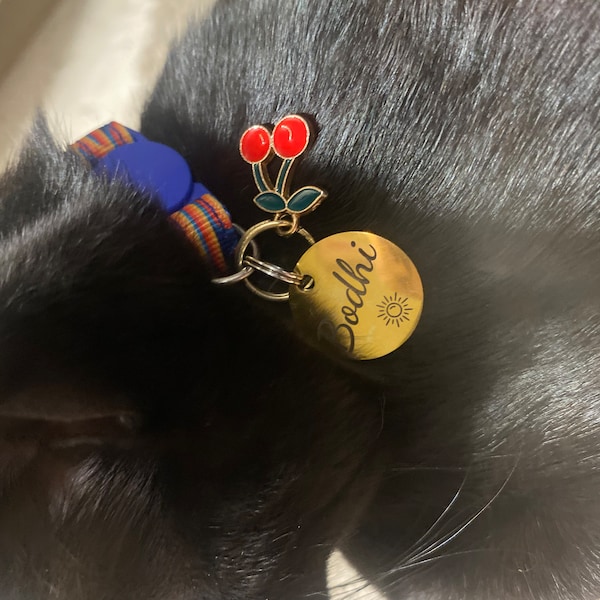 Collar Charms - Food Charms - Snacks - Extra Charms for Cat Collars ...