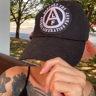 DISCLOSE Back Patch 3 Design - Etsy