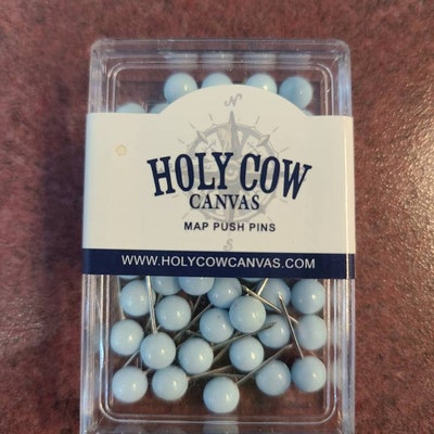 Push Pins for Push Pin Travel Maps - Etsy