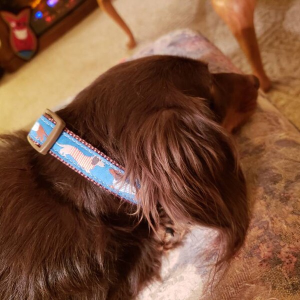 Angel Hearts Dog Collar, Adjustable Dog Collar, Ribbon Dog Collar - Etsy