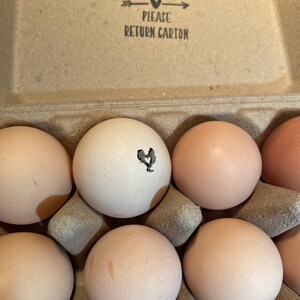 Egg Stamp Set Chicken Heart and Enjoy Egg Stamp Chickens Chicken Stamp ...