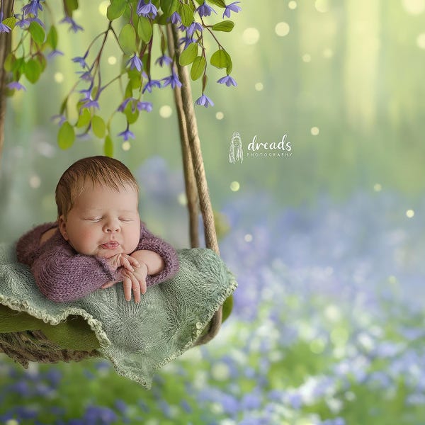 Dinosaur Digital Backdrop/background, Dinosaur Photo Edits, Jurassic ...