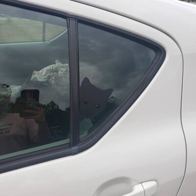 2x Peaking Cat Vinyl Decal Sticker Different Colors & Size for - Etsy