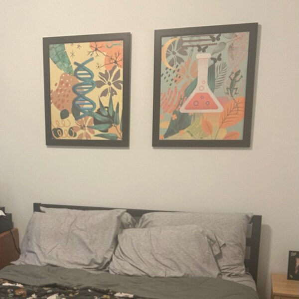 Spring Bulletin Board Kit Library Bulletin Board Kit Spring Decor ...