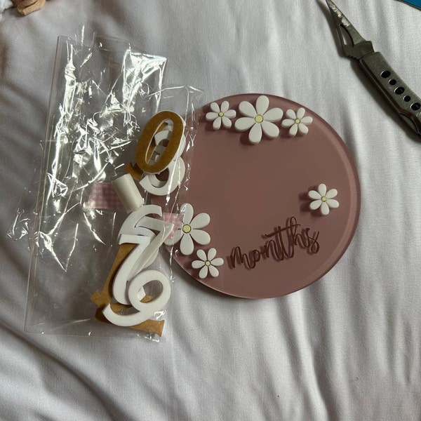 Acrylic Baby Milestone Marker, Baby Milestone Discs, Interchangeable ...