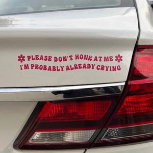 NEW DRIVER Plz Be NICE Decal Sticker Bumper Funny - Etsy