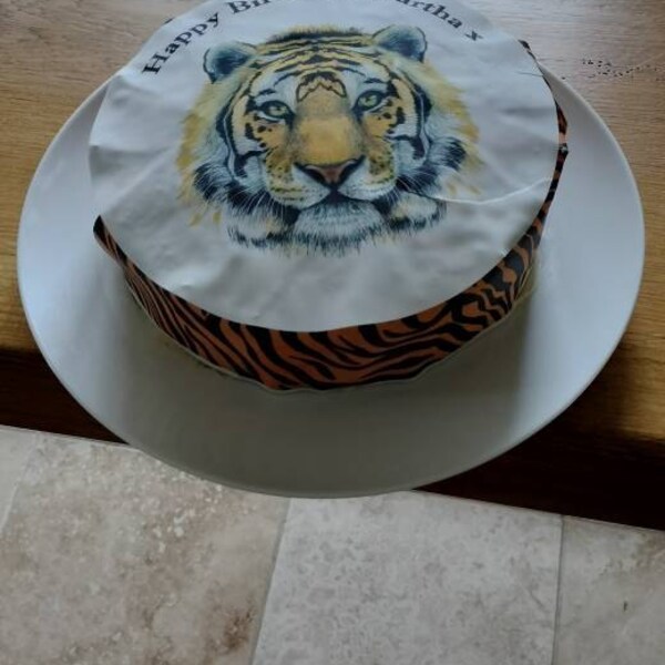 World Map Globe Edible Print Cake Wrap Icing Sheet Topper Travelling ...