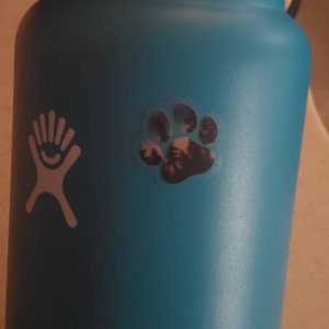 Mini 1 Sunset Paw Print Vinyl Sticker Clear Sticker - Etsy